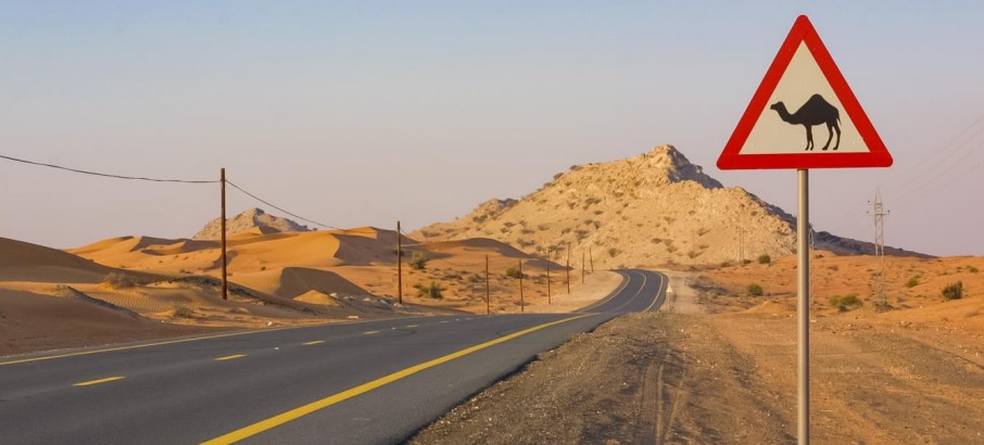 UAE NSDI - Feature Catalogue